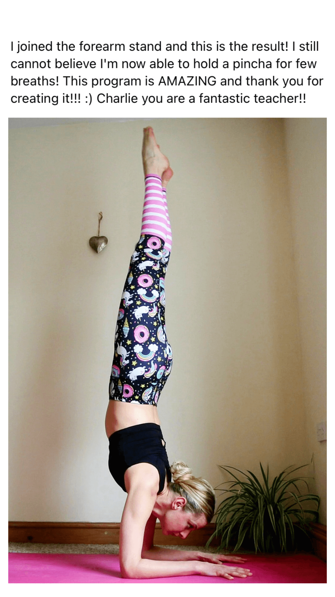 Forearm Stand Program